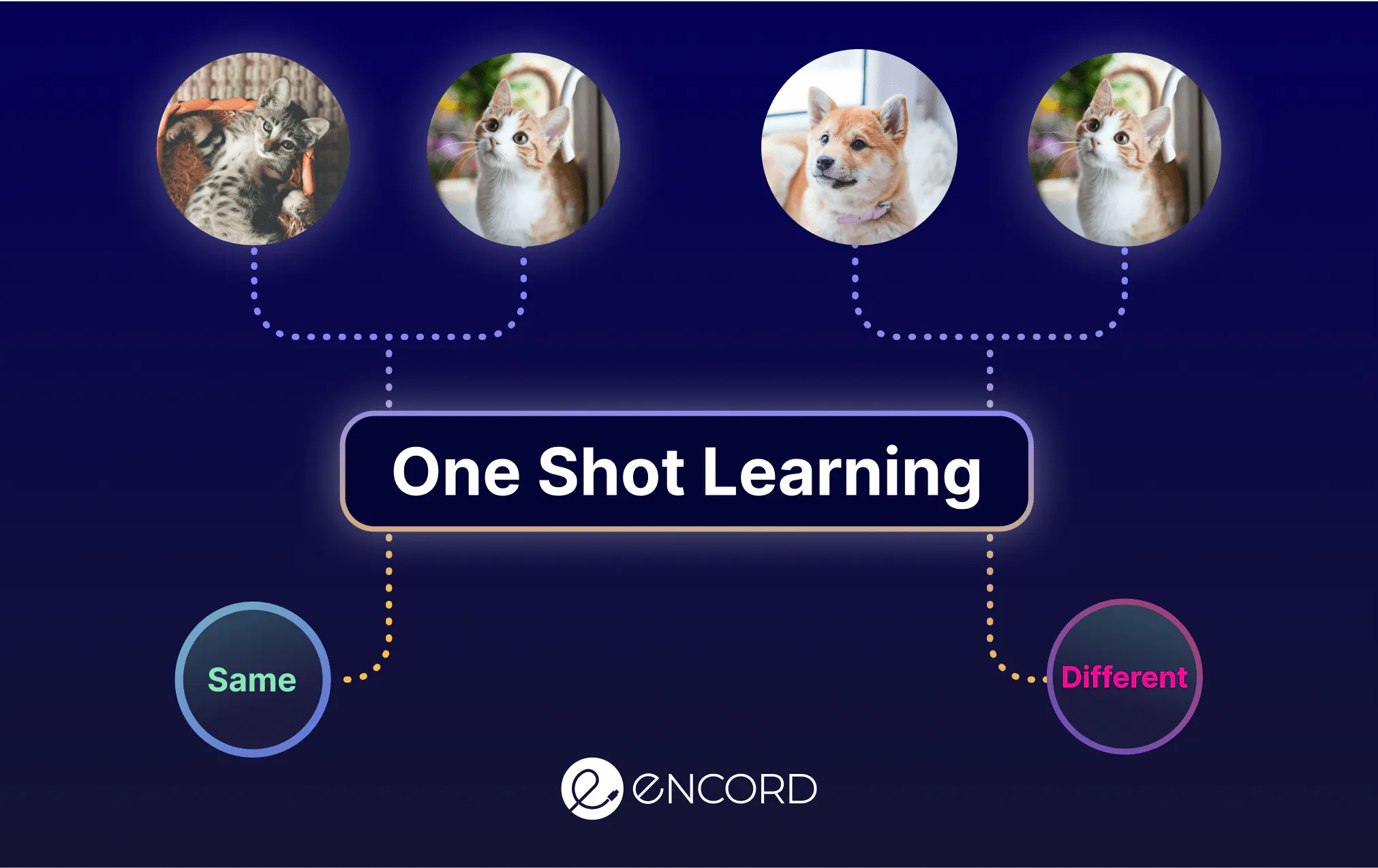 One Shot Learning In AI Definition And Examples Encord One Shot Learning In AI Definition And Examples Encord